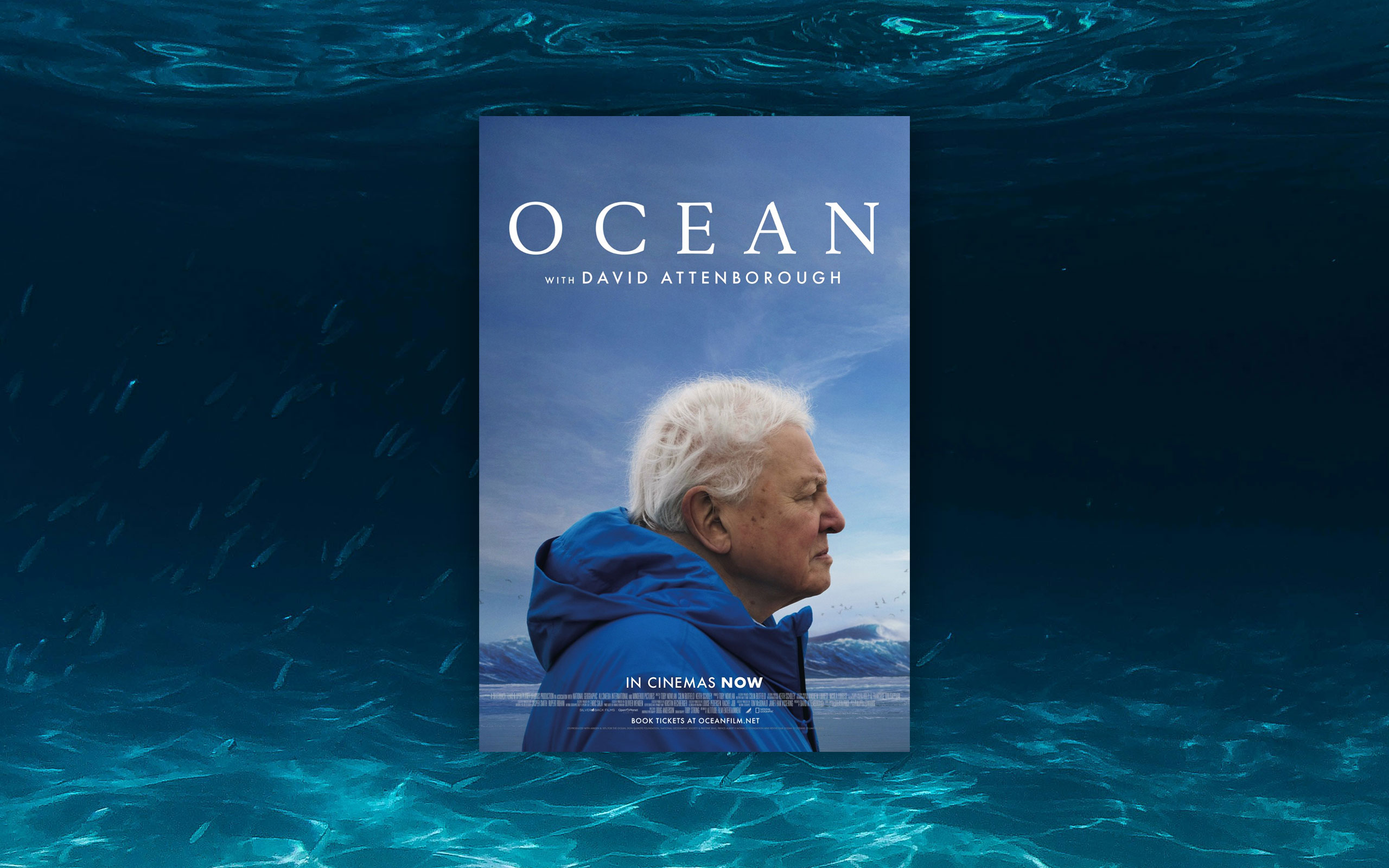 Ocean inspiration: Attenborough's film guides adventure brand ...